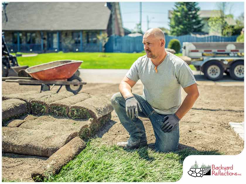 5 Essentials That Can Affect Your Landscape